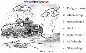 MP Board Class 7th Science Solutions Chapter 16 Water: A Precious ...