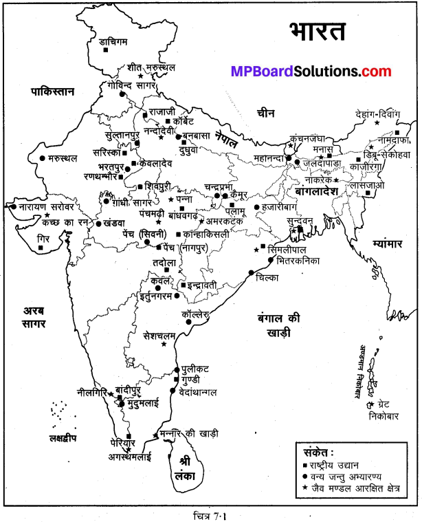 MP Board Class 8th Science Solutions Chapter 7 पौधे एवं जंतुओं का ...
